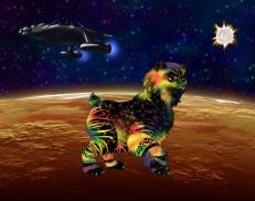 Pocket Puma Pets - Are You There Yet?