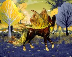 Pocket Puma Pets - Let Your Imagination Run Wild